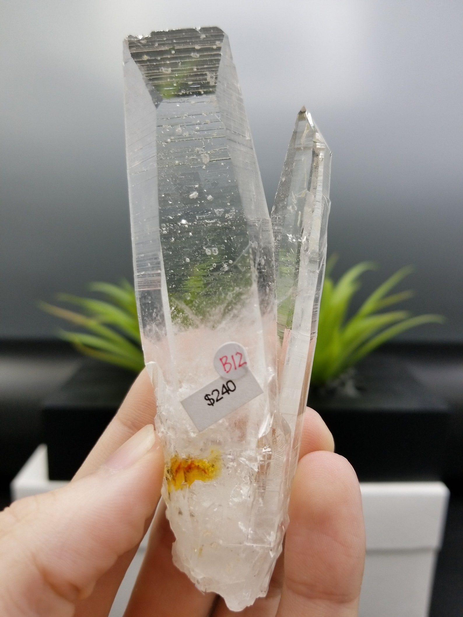 World Class 4 Optical Quartz Formation From Penas - Etsy