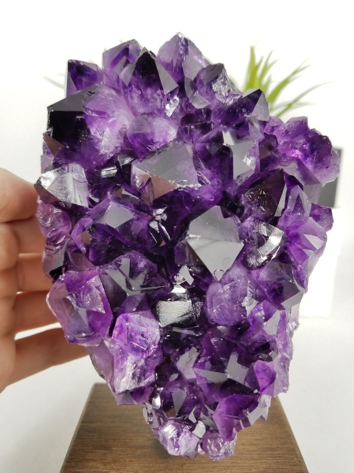 7.5 Tall Super Extra AA Quality Amethyst w/ Wood Base | Etsy