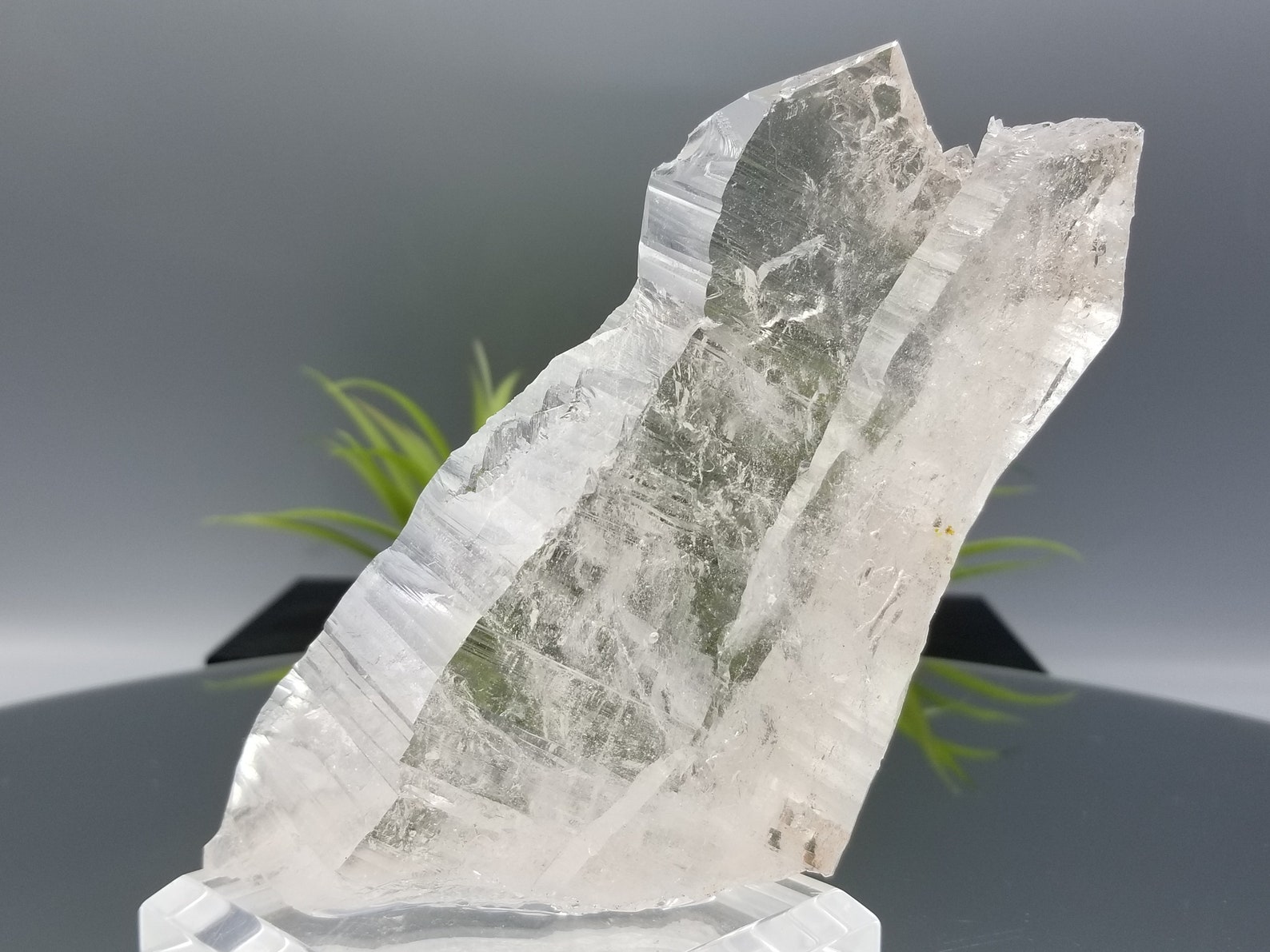 World Class 5 Cathedral Ice Quartz Thats Damage Free - Etsy