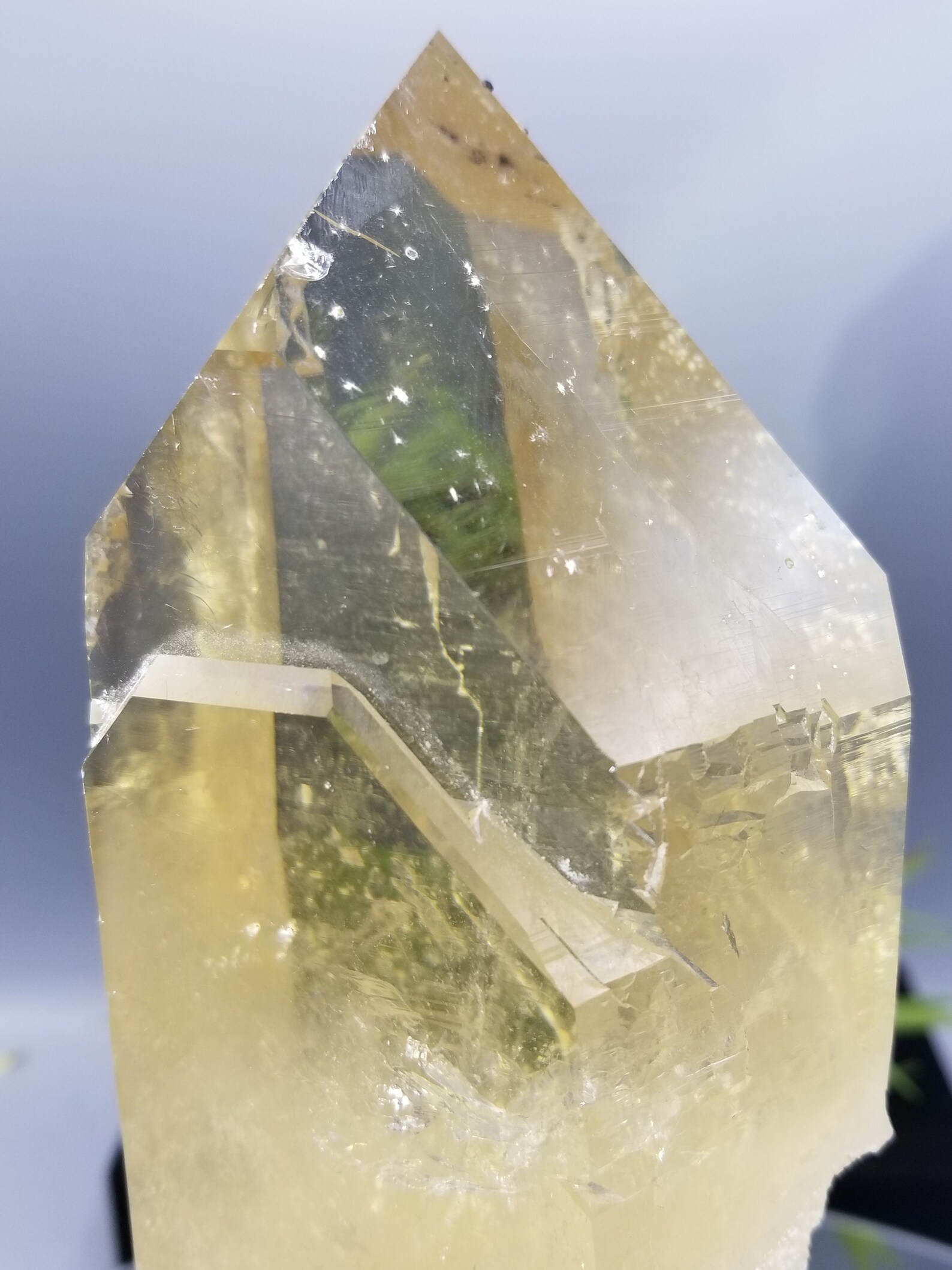 World Class 10" Cathedral Citrine Thats Damage Free, Super Clean With ...