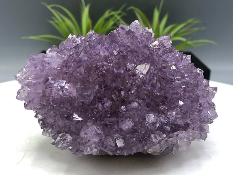 Gorgeous 4.5” Super AA Quality Amethyst Rosette Flower Formation W ...
