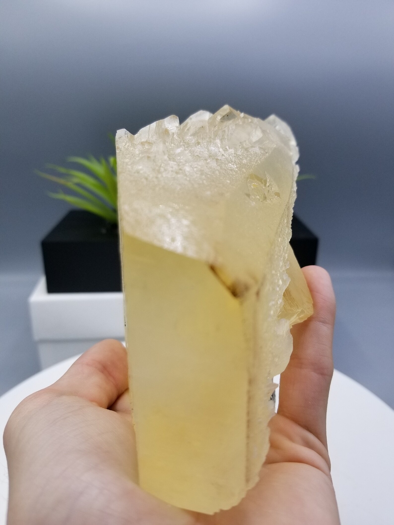 Unreal 5.5 Alien Quartz/amethyst Formation W/ Triple - Etsy