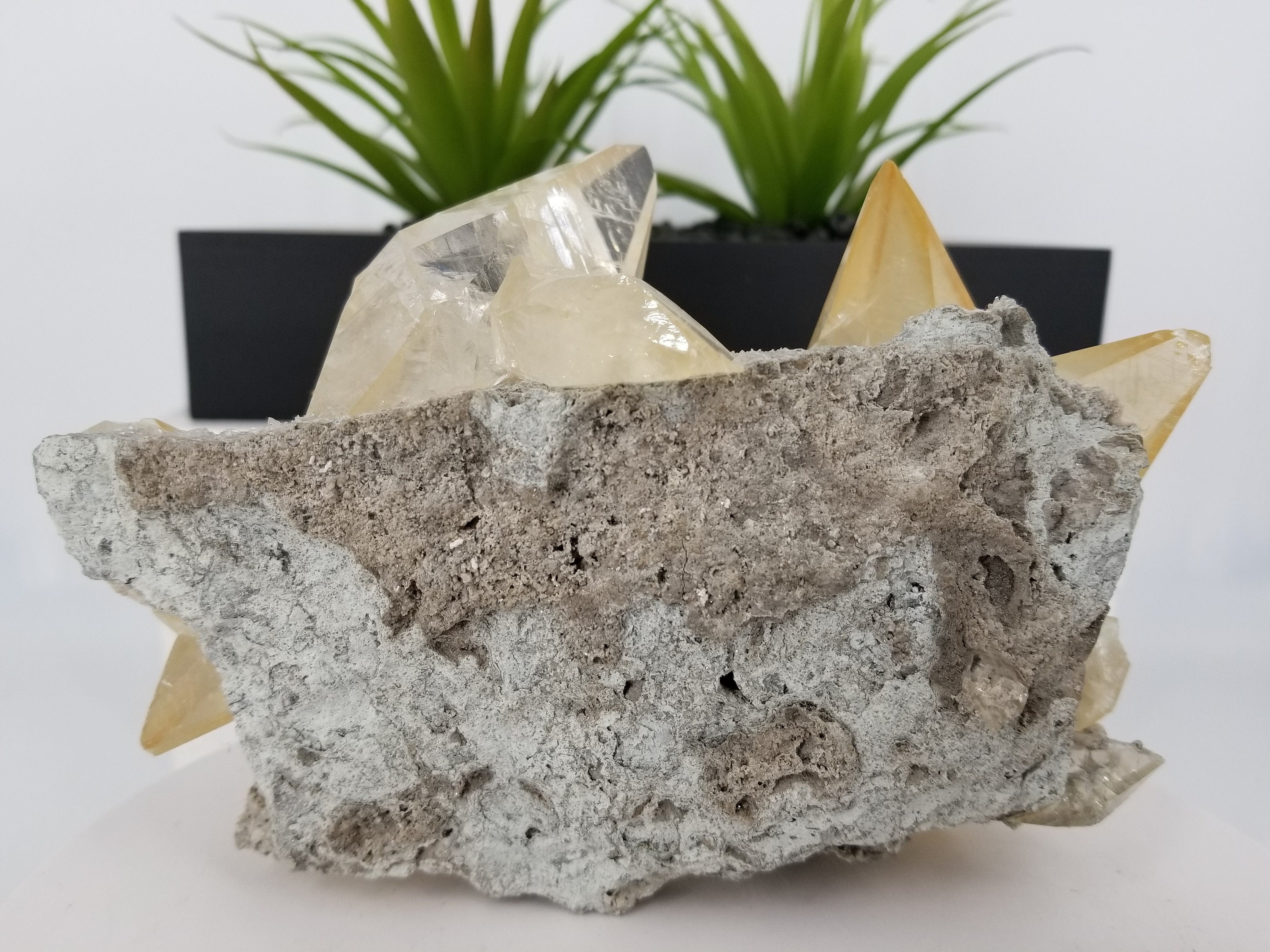 Rare Gem Pocket Find. Gorgeous XXL 6.5 Elmwood Mine | Etsy