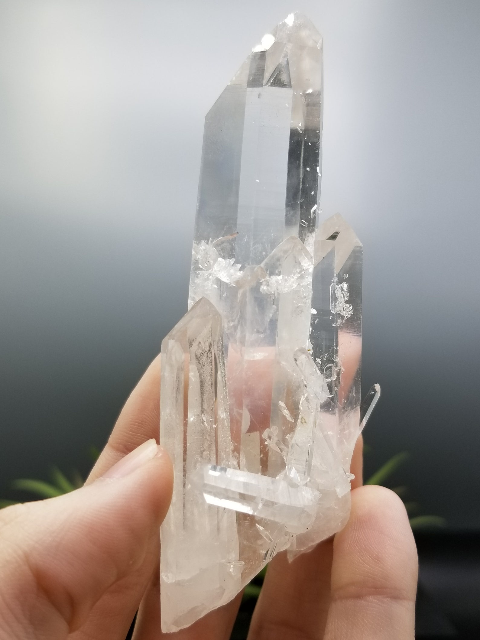 World Class 4 Optical Quartz Formation From Penas | Etsy