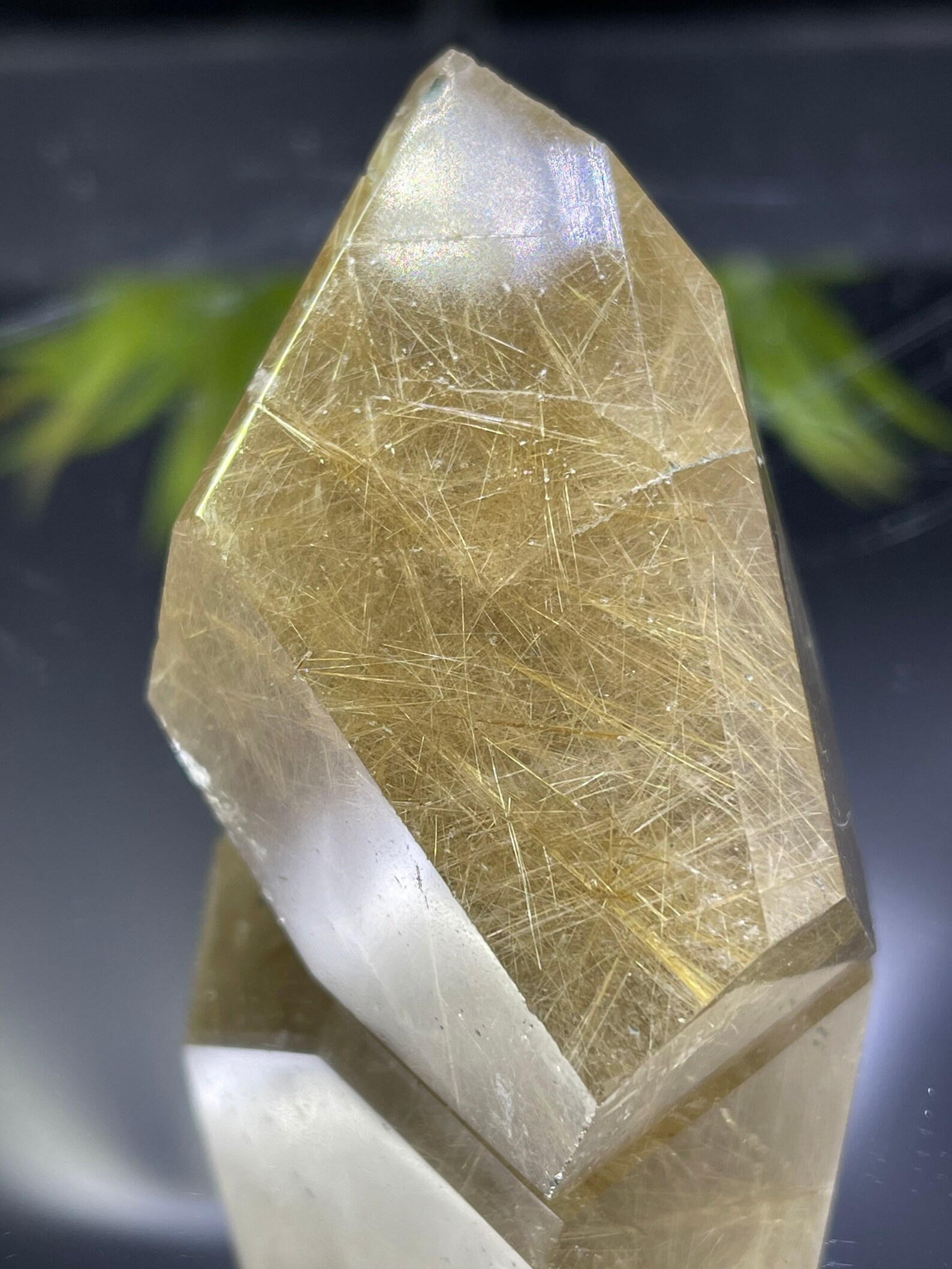 Rare, World Class 2.5" Quartz Infused W/ Vibrant Rutile & Spectacular ...