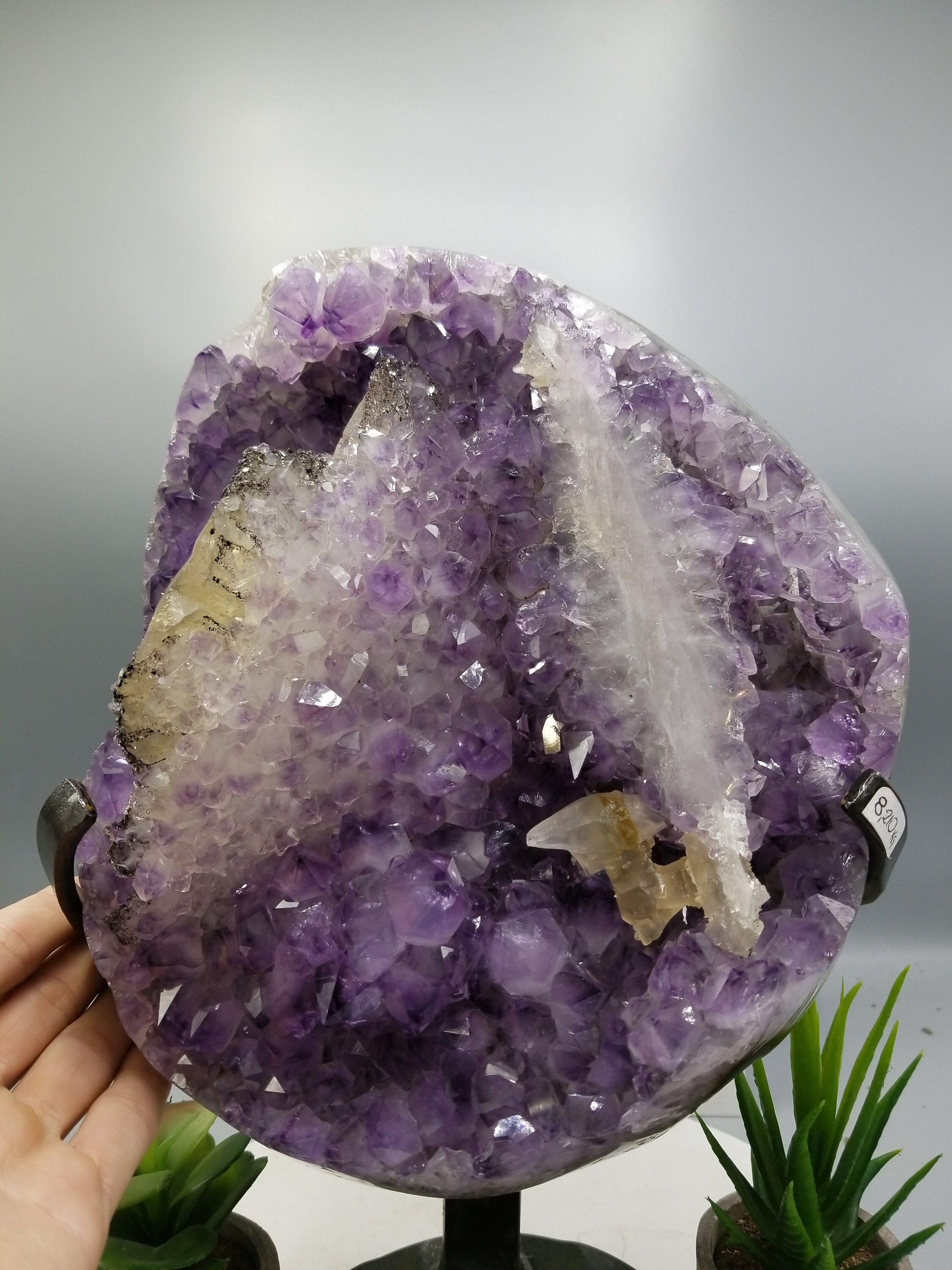 Rare XXL 19lb. Phantom Amethyst W/ Perfectly Terminated Calcite ...