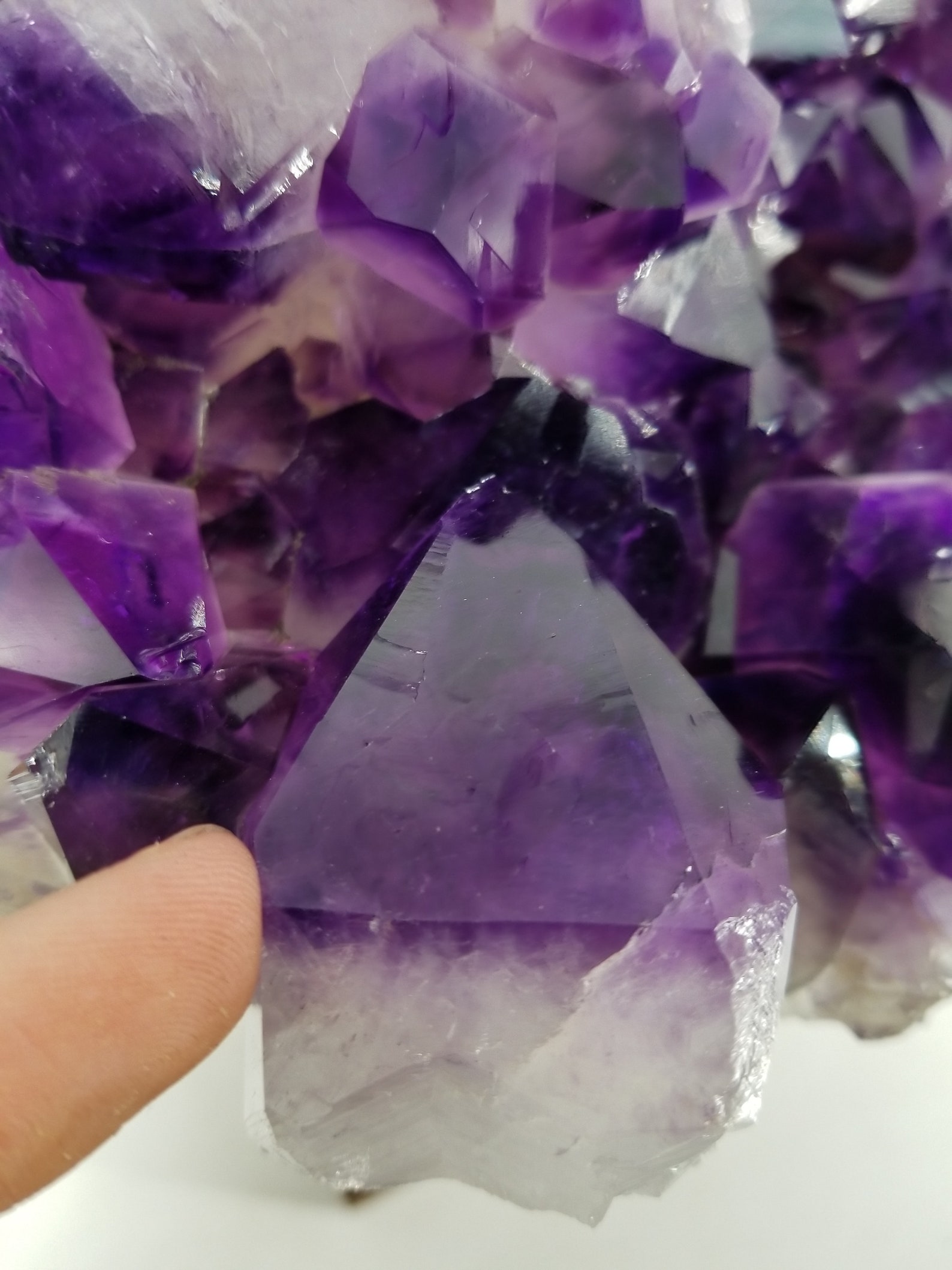 Rare & Huge 15lb. Super Extra AA Quality Amethyst Pseudomorph W/ Wood ...
