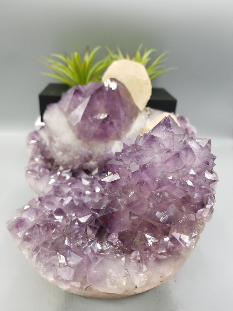 Featured From 2019 Denver Gem Show!! Rare Amethyst Pseudomorph Calcite ...