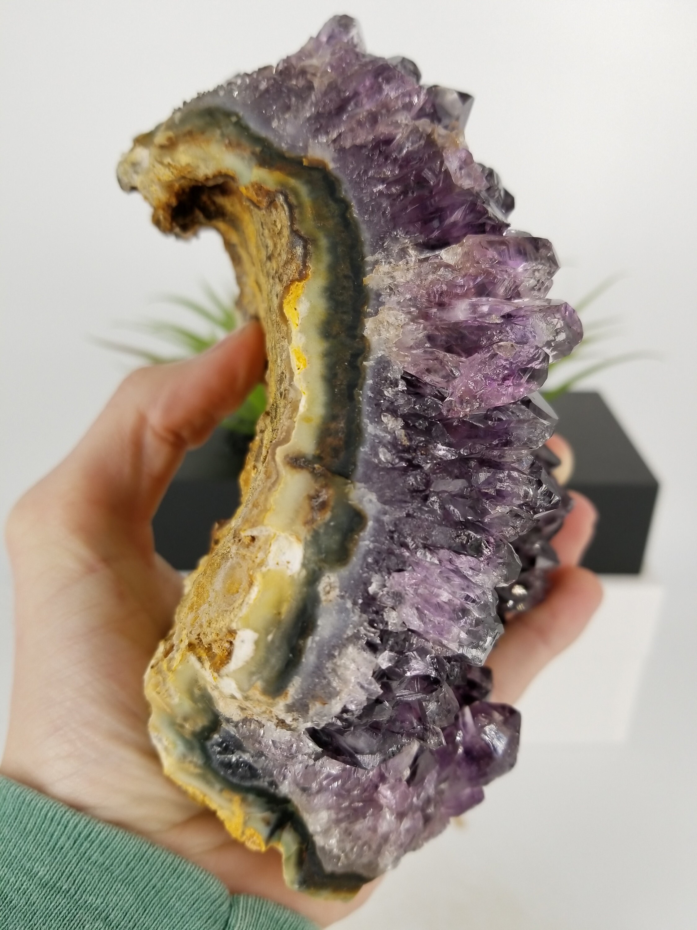 New Finds. 6.5" AA Quality Smokey Amethyst Rosette Cluster Formation W ...