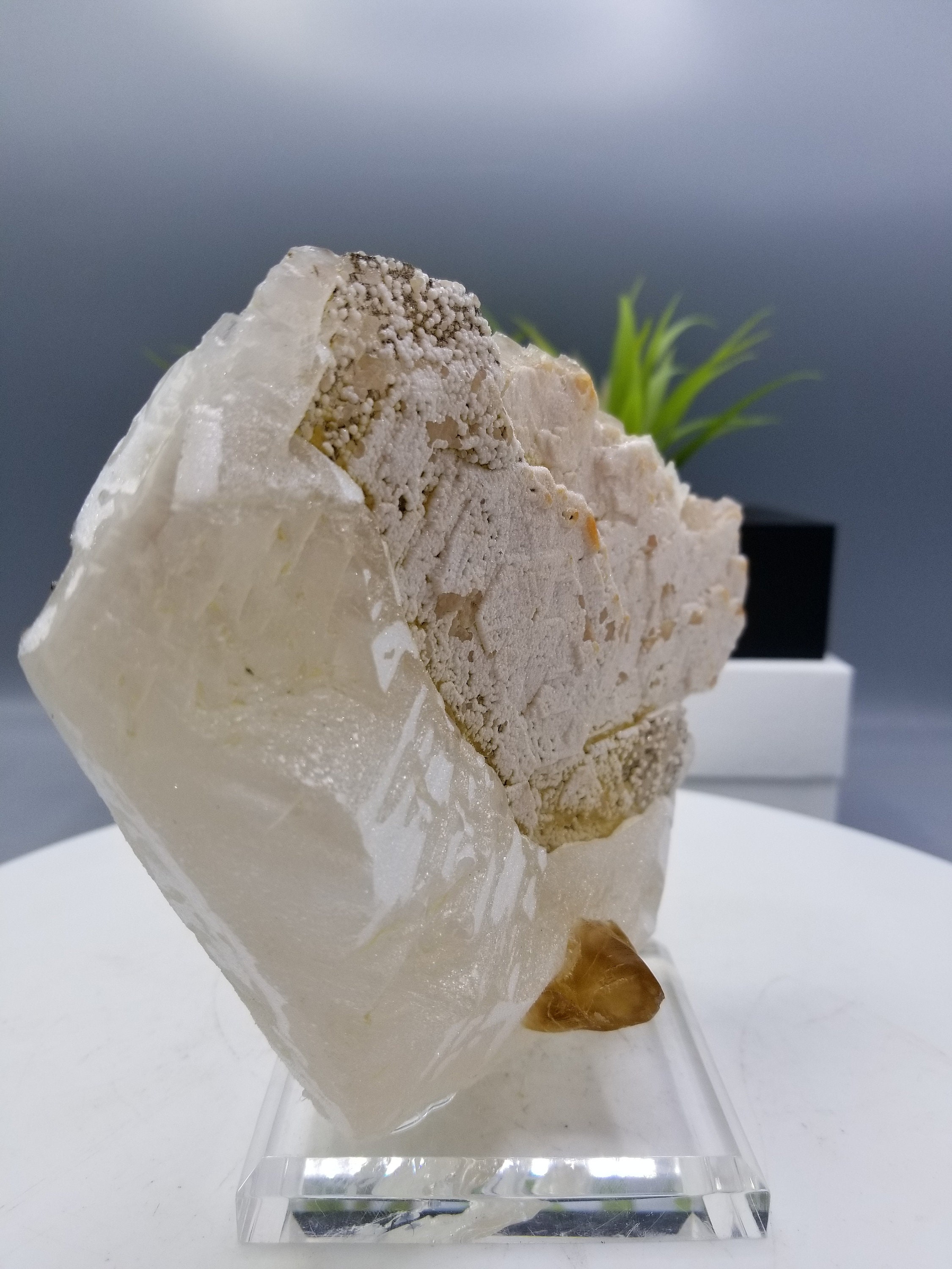 Unreal 6.5 Alien Calcite Formation w/ Terminated Calcite | Etsy