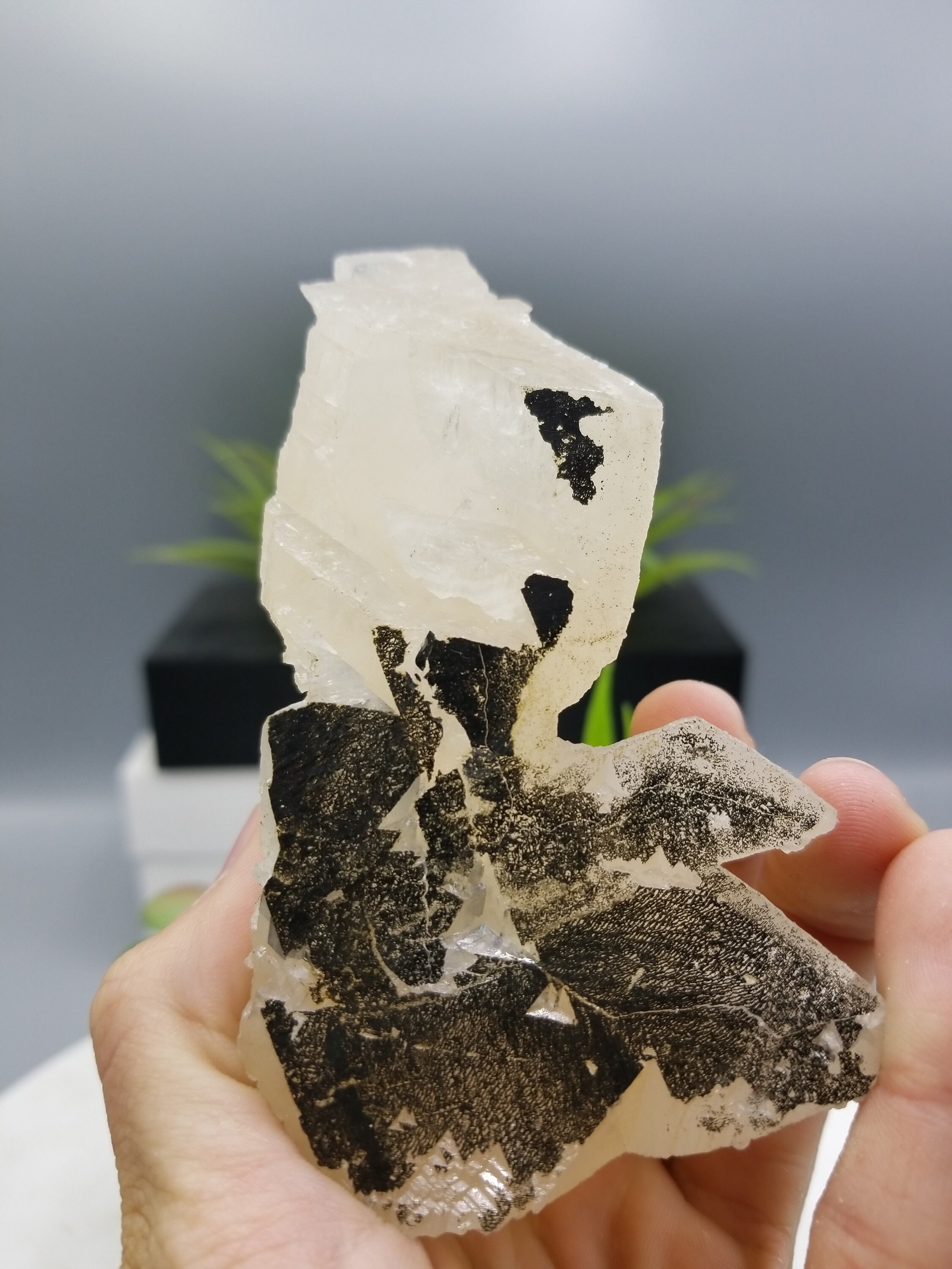 Perfect 4 Calcite Mountain Formation Las Torres Mine. | Etsy