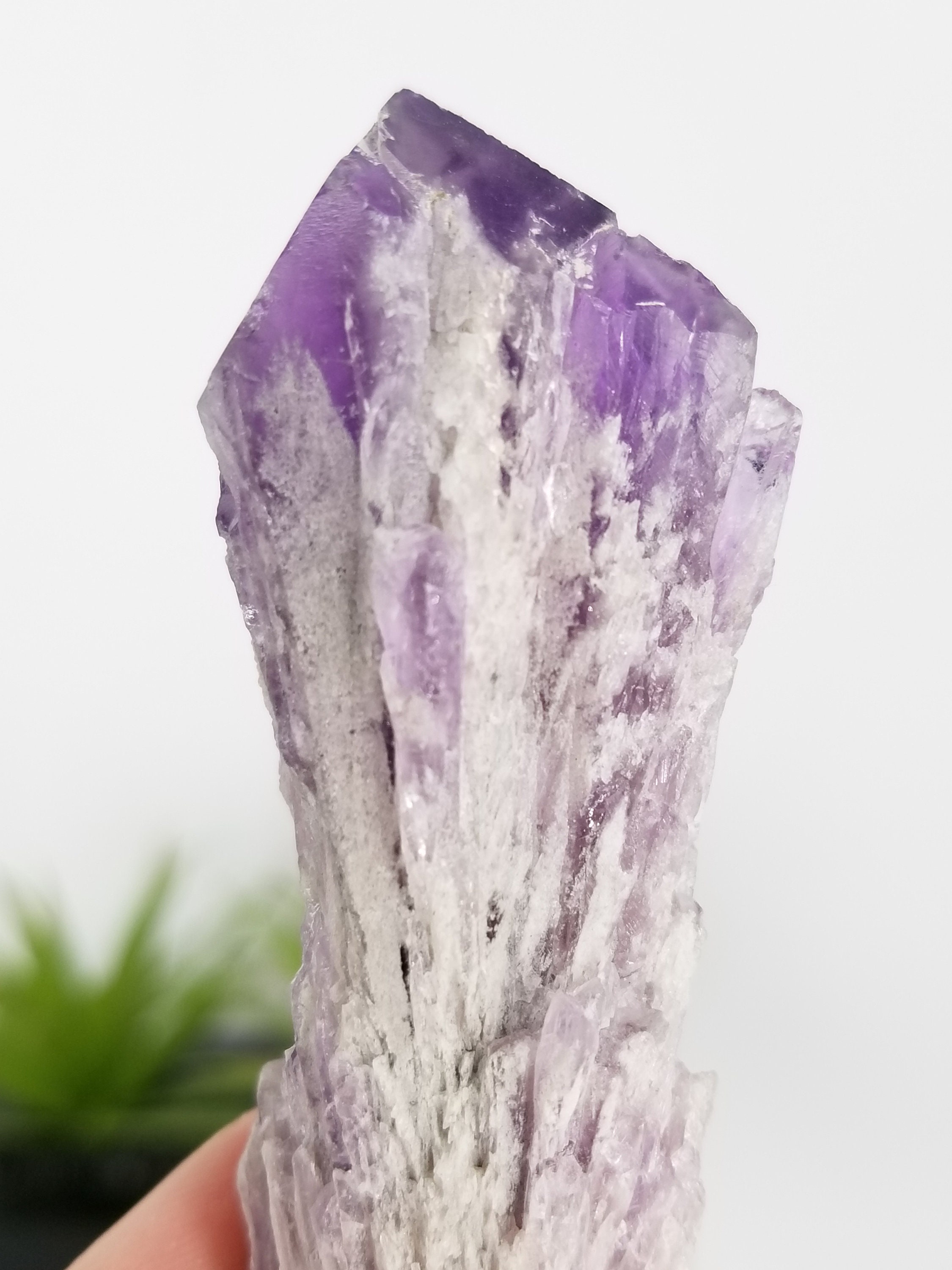 Gorgeous 10pc Lot of Amethyst Points From Bahia Brazil. | Etsy
