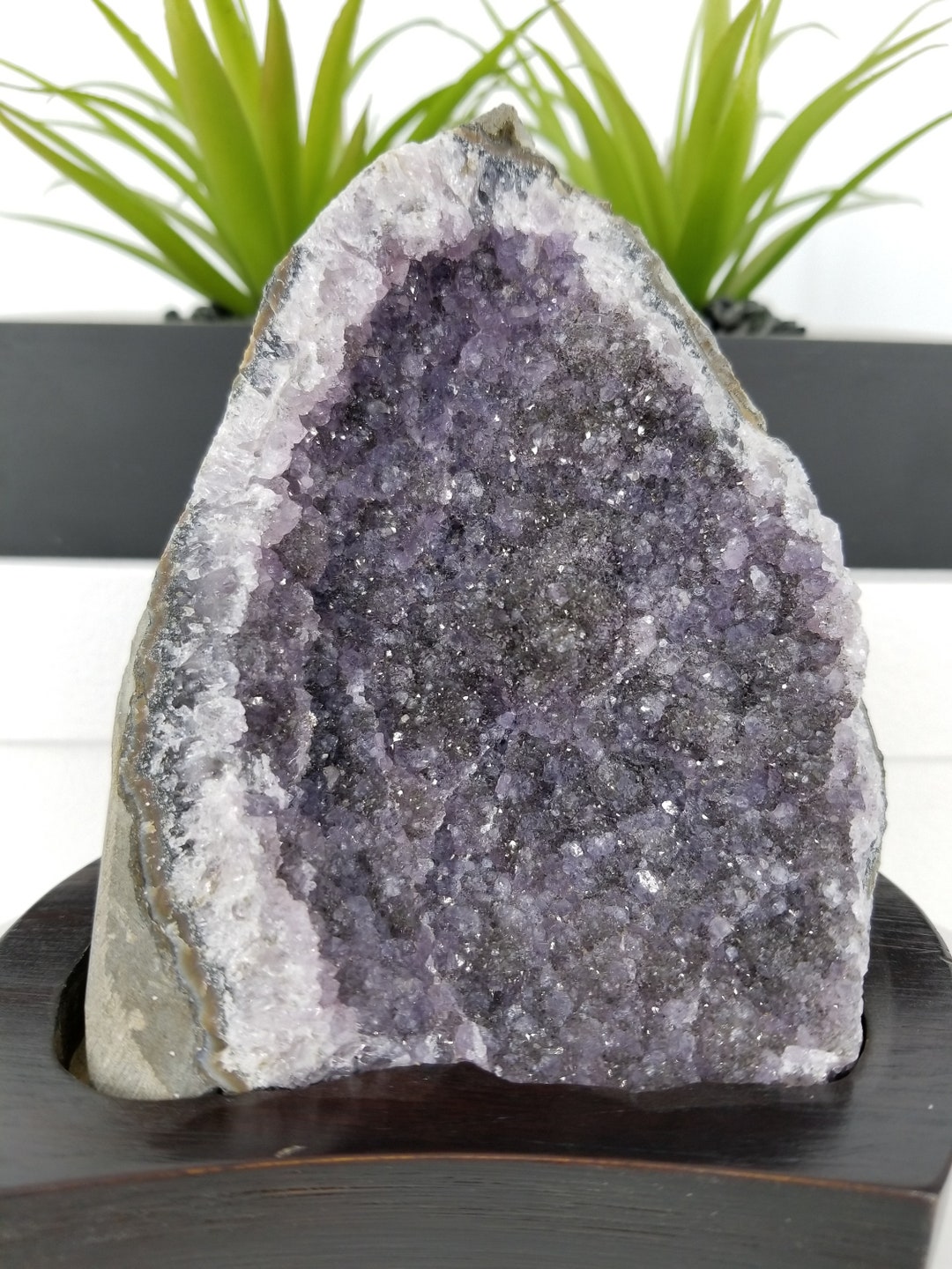 Epic 5" AAQ Galaxy Amethyst Formation From Las Torres Mine. Artigas ...
