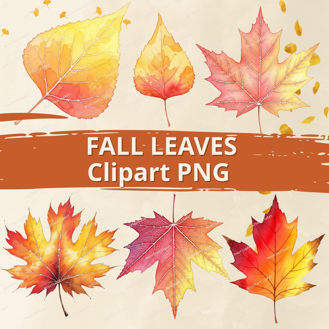 Fall Leaves Clipart PNG | 14 Watercolor Autumn Leaves | Cozy Fall ...