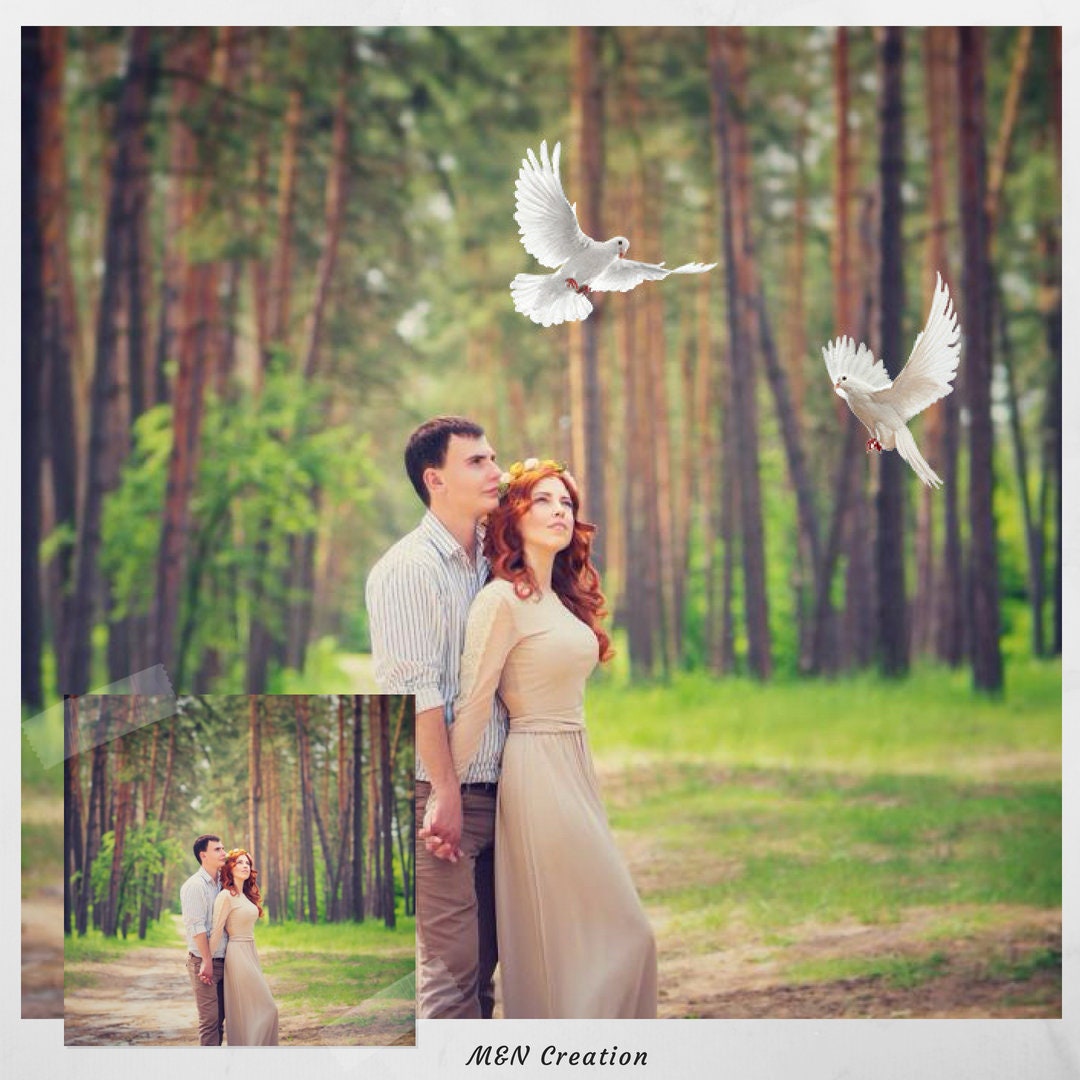 15 Doves PNG Overlays Birds Overlay Photoshop Overlay - Etsy