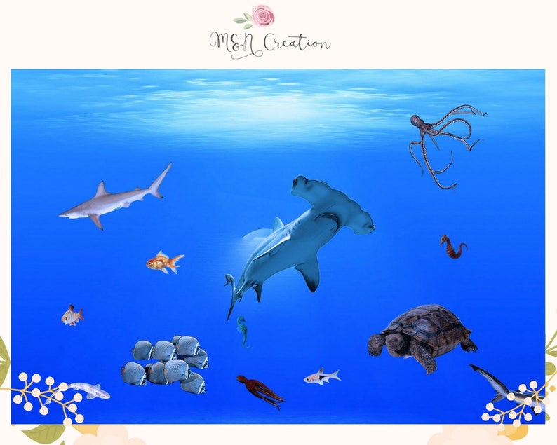 25 Ocean Overlays Fish Overlays Photoshop Overlay Sea | Etsy Australia