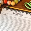 Latin Printable Worksheets, Verb Tense, CC Cycle 2 Latin, Kids Latin ...