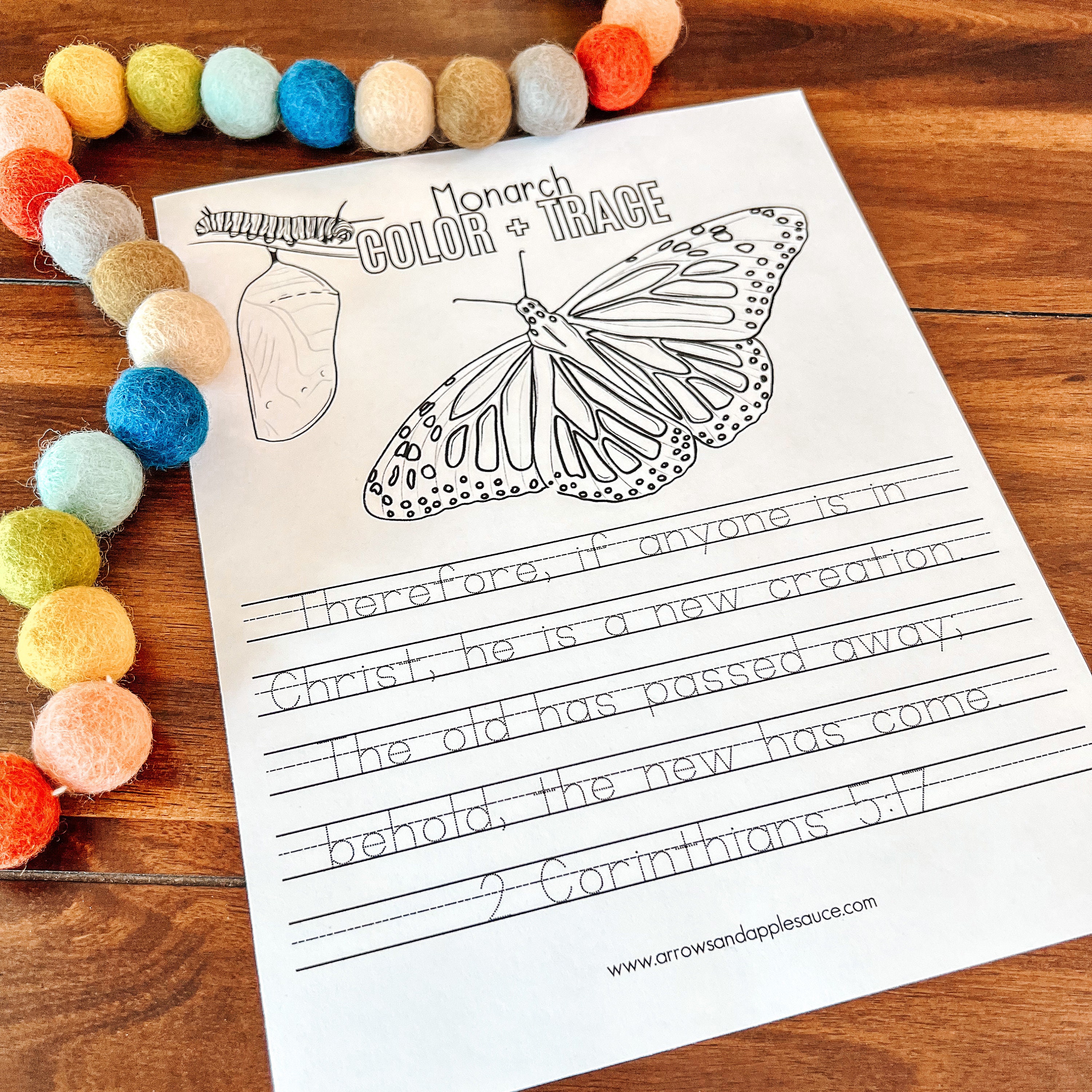 Butterfly Activity Set, Kids Printable, Monarch Butterfly Life Cycle ...
