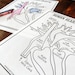 Human Heart Anatomy, Printable Coloring Pages, Human Body Unit Study ...