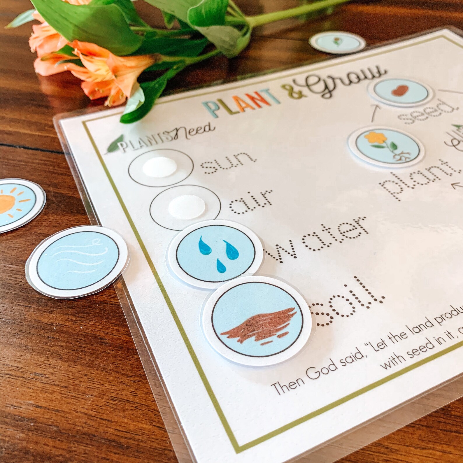 Plant Life Cycle Printable Activity, Kids Science Game, Nature Study ...