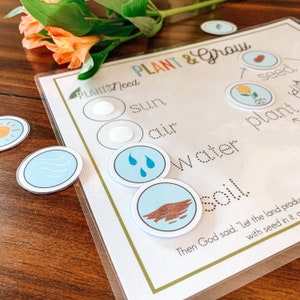 Plant Life Cycle Printable Activity, Kids Science Game, Nature Study ...