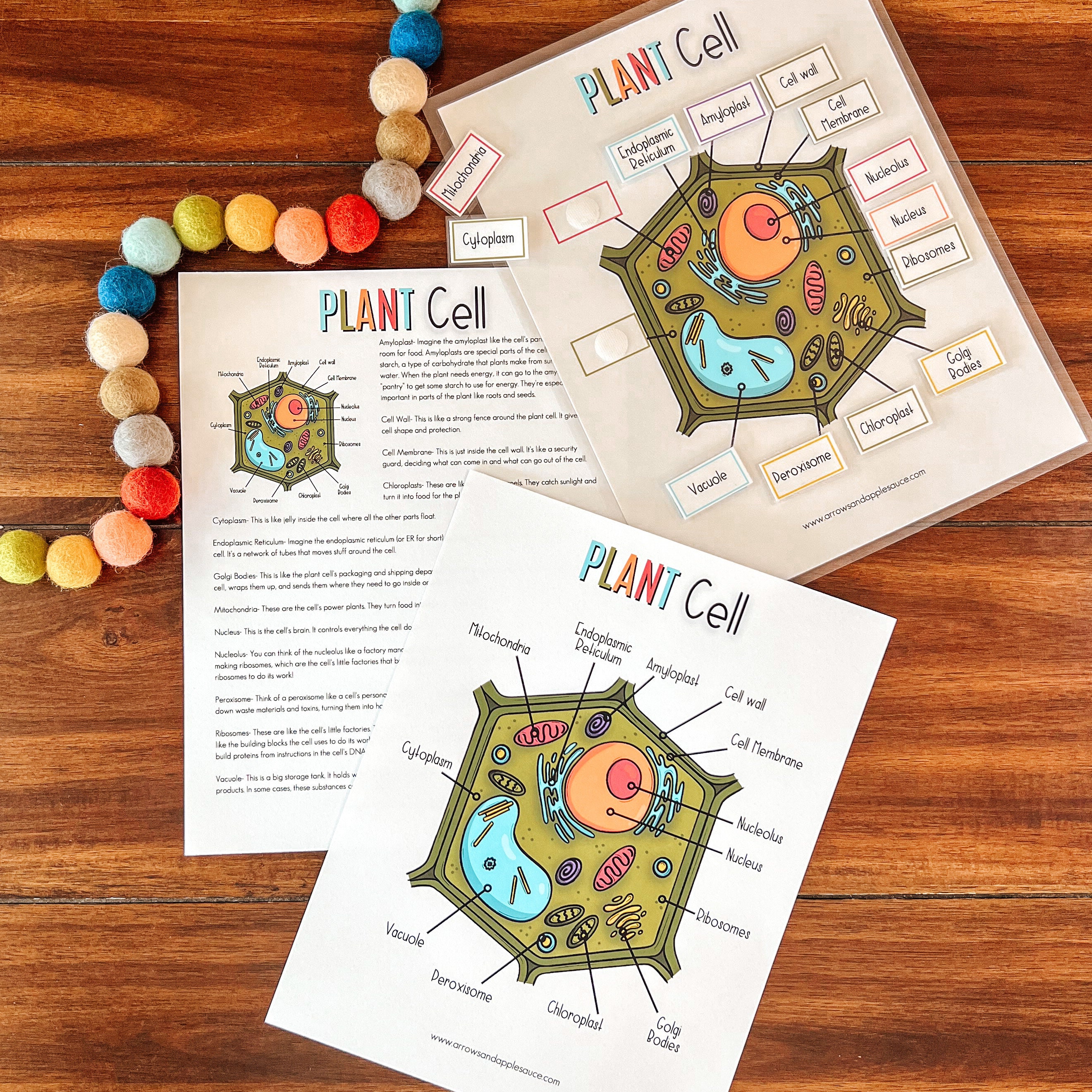 Plant Cell Science Project Ideas