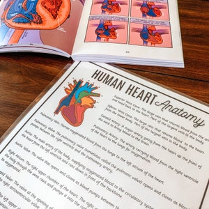 Heart Anatomy Printable Activity, Human Body Game, About Me, Heart ...