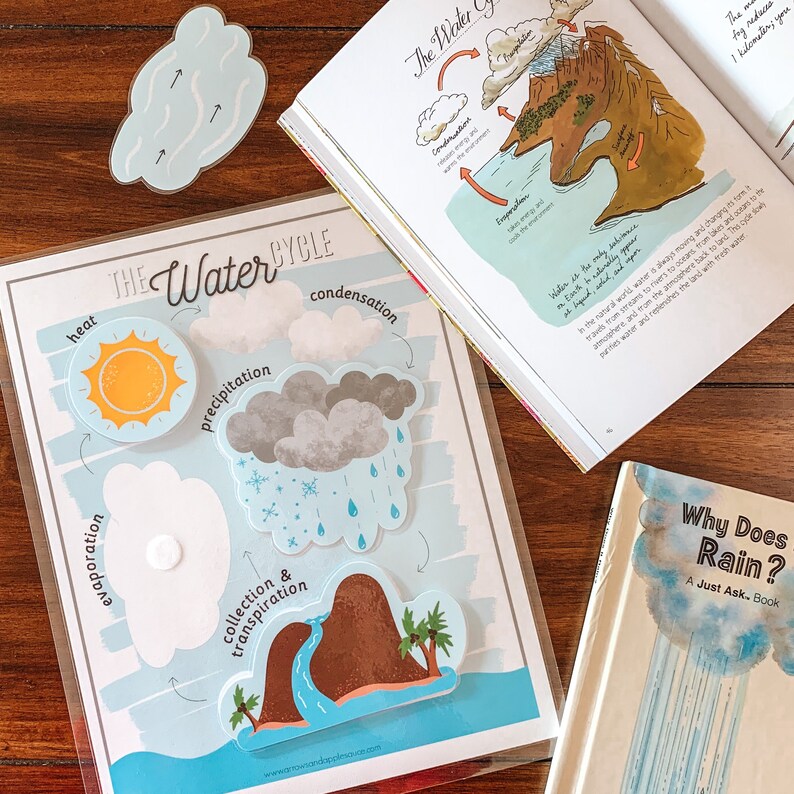Water Cycle Kids Activity, Printable Nature Study, Kindergarten Science ...