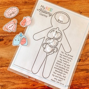 Anatomy Game, Printable Human Body Preschool Activity, About Me Kids ...