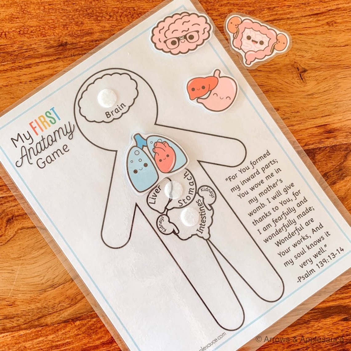 Anatomy Game Printable Human Body Preschool Activity About - Etsy