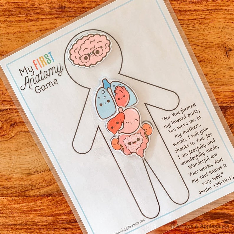 Anatomy Game Printable Human Body Preschool Activity About - Etsy