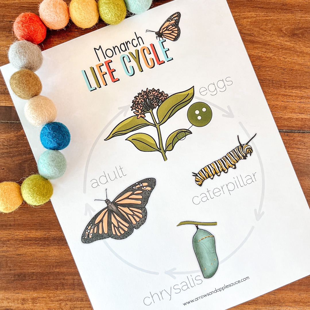 Butterfly Activity Set, Kids Printable, Monarch Butterfly Life Cycle ...