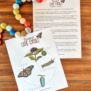 Butterfly Activity Set, Kids Printable, Monarch Butterfly Life Cycle ...