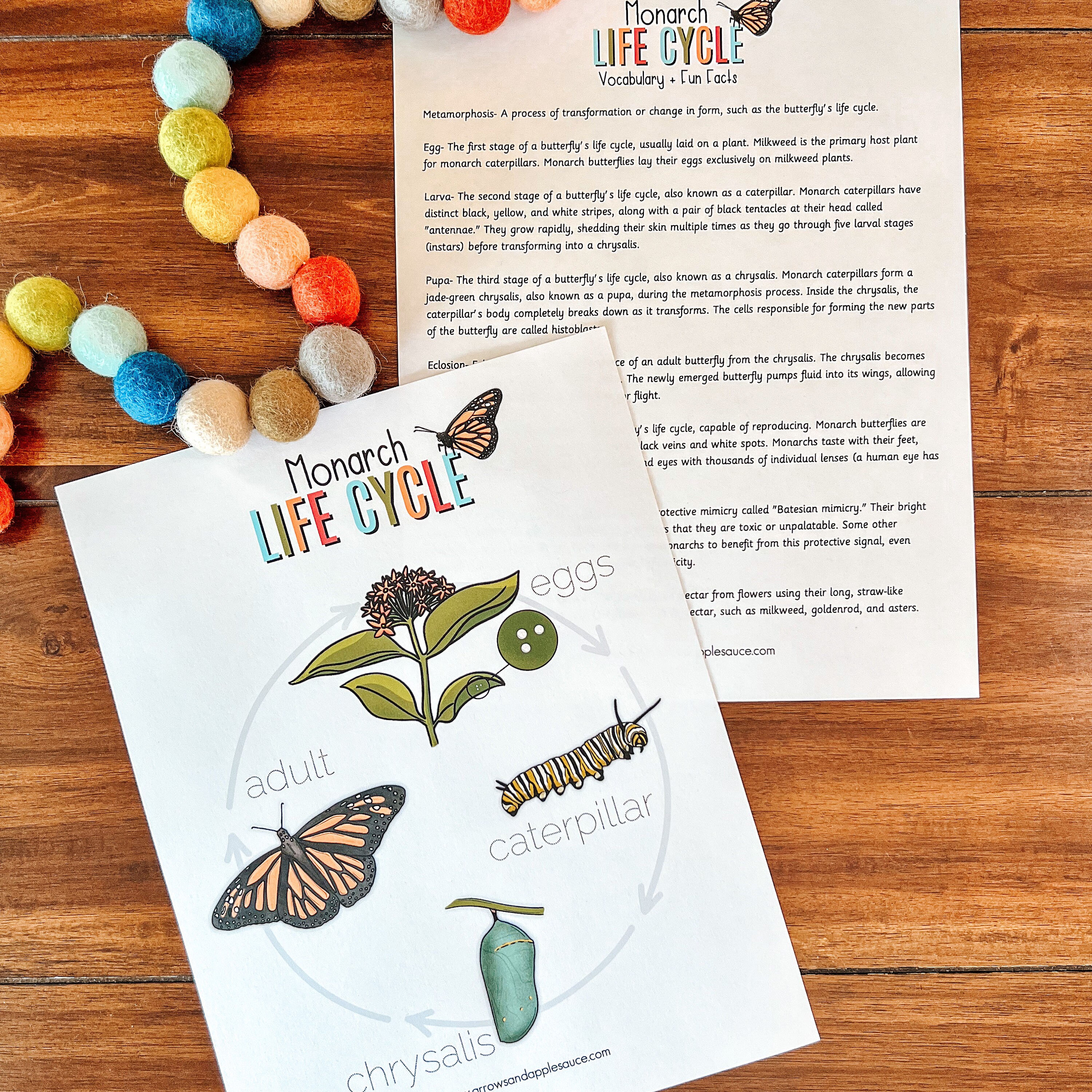 Butterfly Activity Set, Kids Printable, Monarch Butterfly Life Cycle ...
