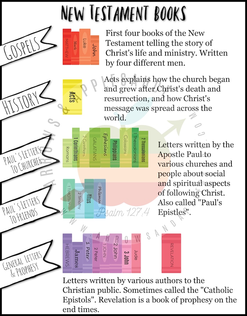 New Testament Books of the Bible Game Kids Bible Activity - Etsy