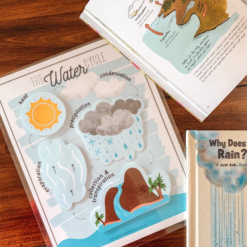 Water Cycle Kids Activity, Printable Nature Study, Kindergarten Science ...