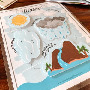 Water Cycle Kids Activity, Printable Nature Study, Kindergarten Science ...