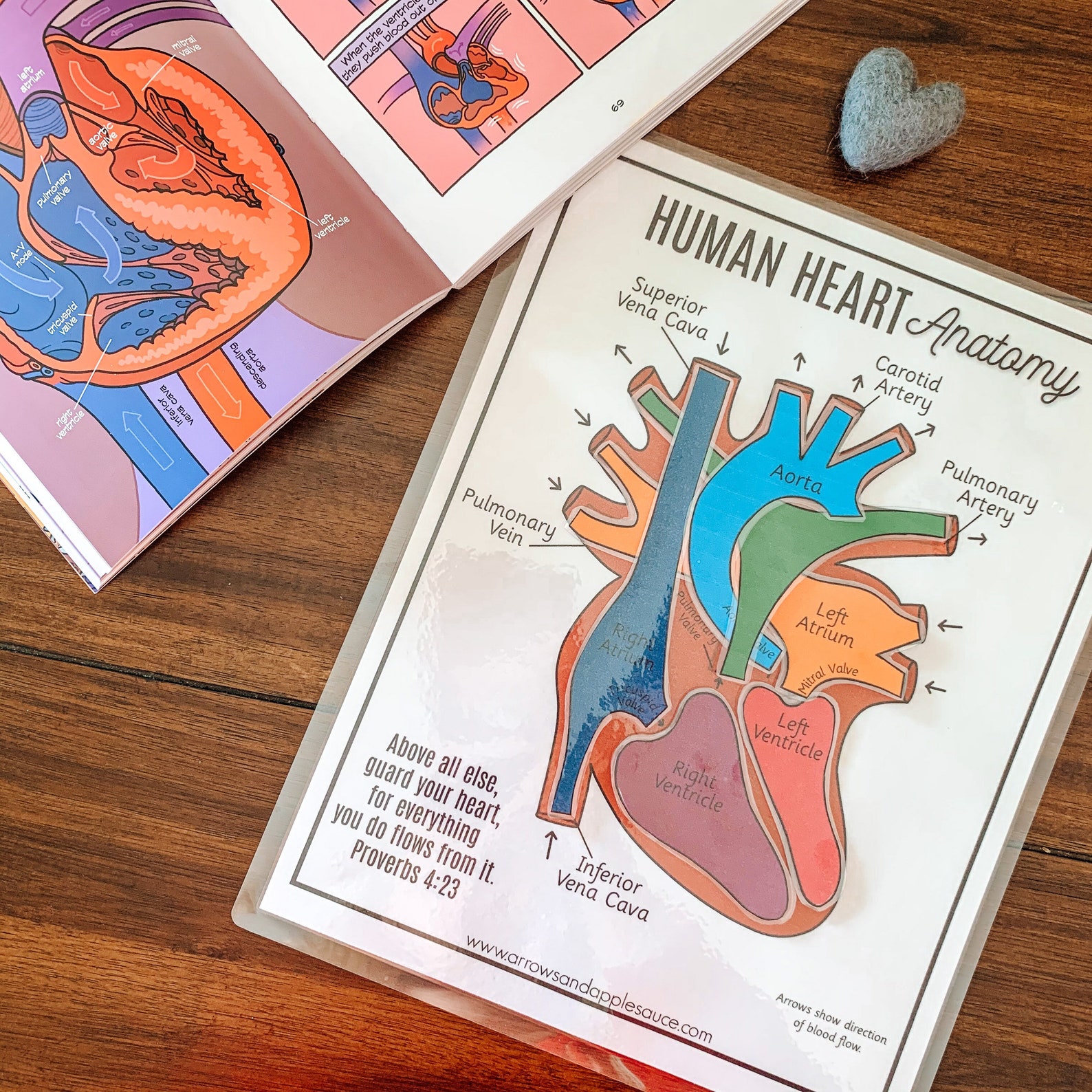 Heart Anatomy Printable Activity, Human Body Game, About Me, Heart ...