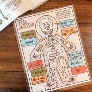 Skeleton Anatomy Activity, Printable Human Bones Lesson, Moving ...