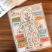 Skeleton Anatomy Activity, Printable Human Bones Lesson, Moving ...