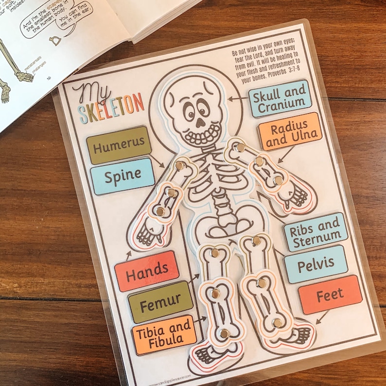 Skeleton Anatomy Activity Printable Human Bones Lesson - Etsy Australia