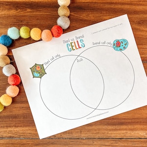 Cell Structure Diagram Printable Bundle, Plant Cell, Animal Cell ...