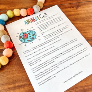 Animal Cell Anatomy Activity, Homeschool Science Lesson, Kids Biology ...