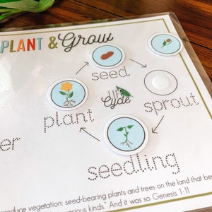 Plant Life Cycle Printable Activity, Kids Science Game, Nature Study ...