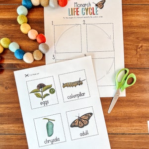 Butterfly Activity Set, Kids Printable, Monarch Butterfly Life Cycle ...
