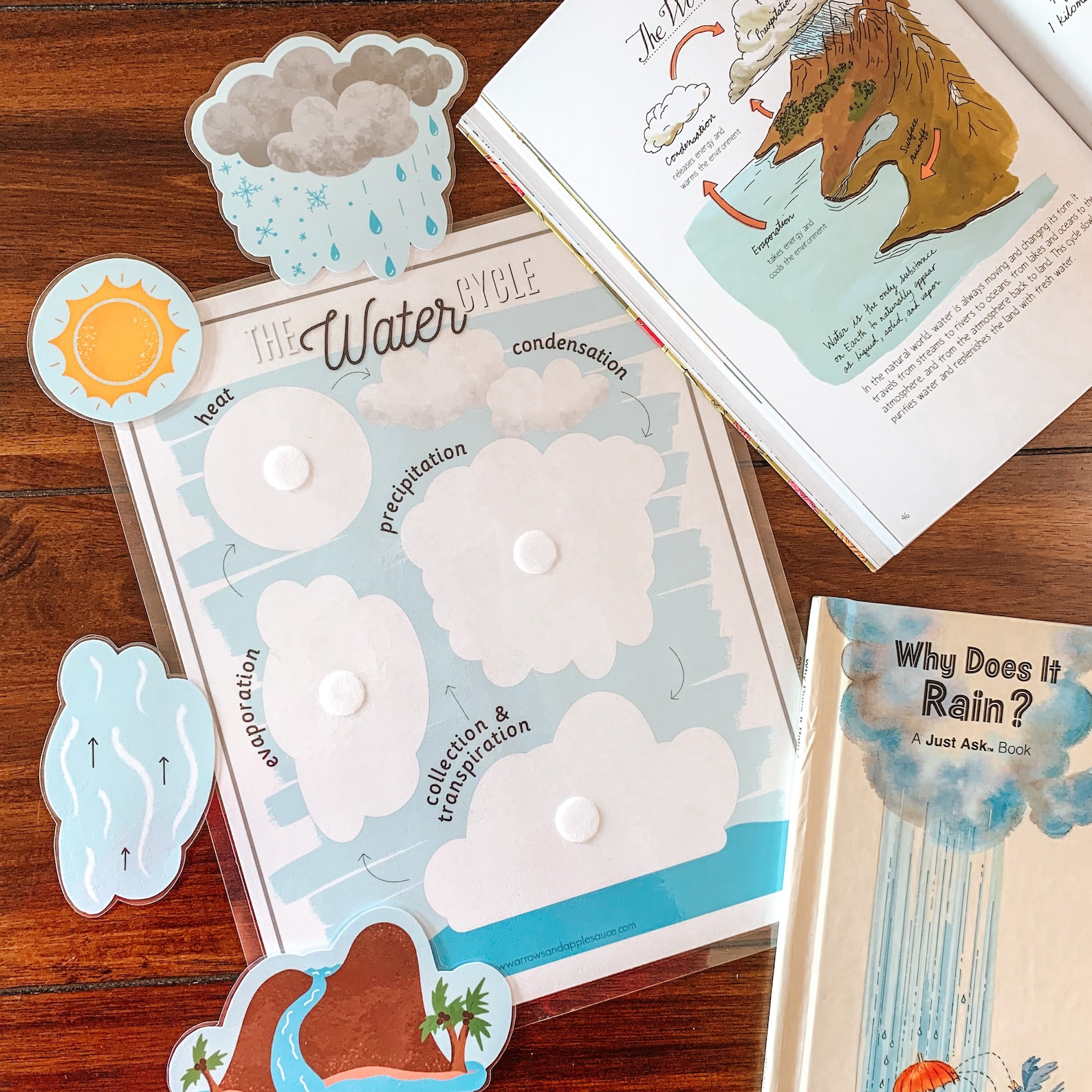 Water Cycle Kids Activity, Printable Nature Study, Kindergarten Science ...