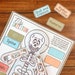 Skeleton Anatomy Activity, Printable Human Bones Lesson, Moving ...