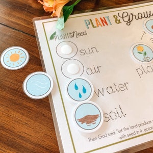 Plant Life Cycle Printable Activity, Kids Science Game, Nature Study ...
