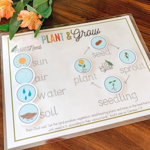 Plant Life Cycle Printable Activity, Kids Science Game, Nature Study ...