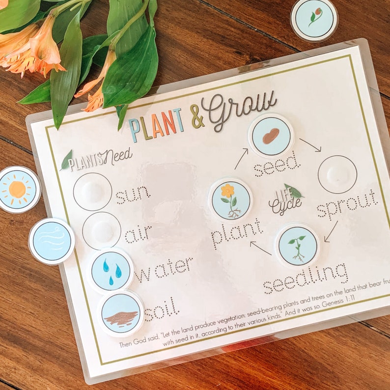 Plant Life Cycle Printable Activity, Kids Science Game, Nature Study ...
